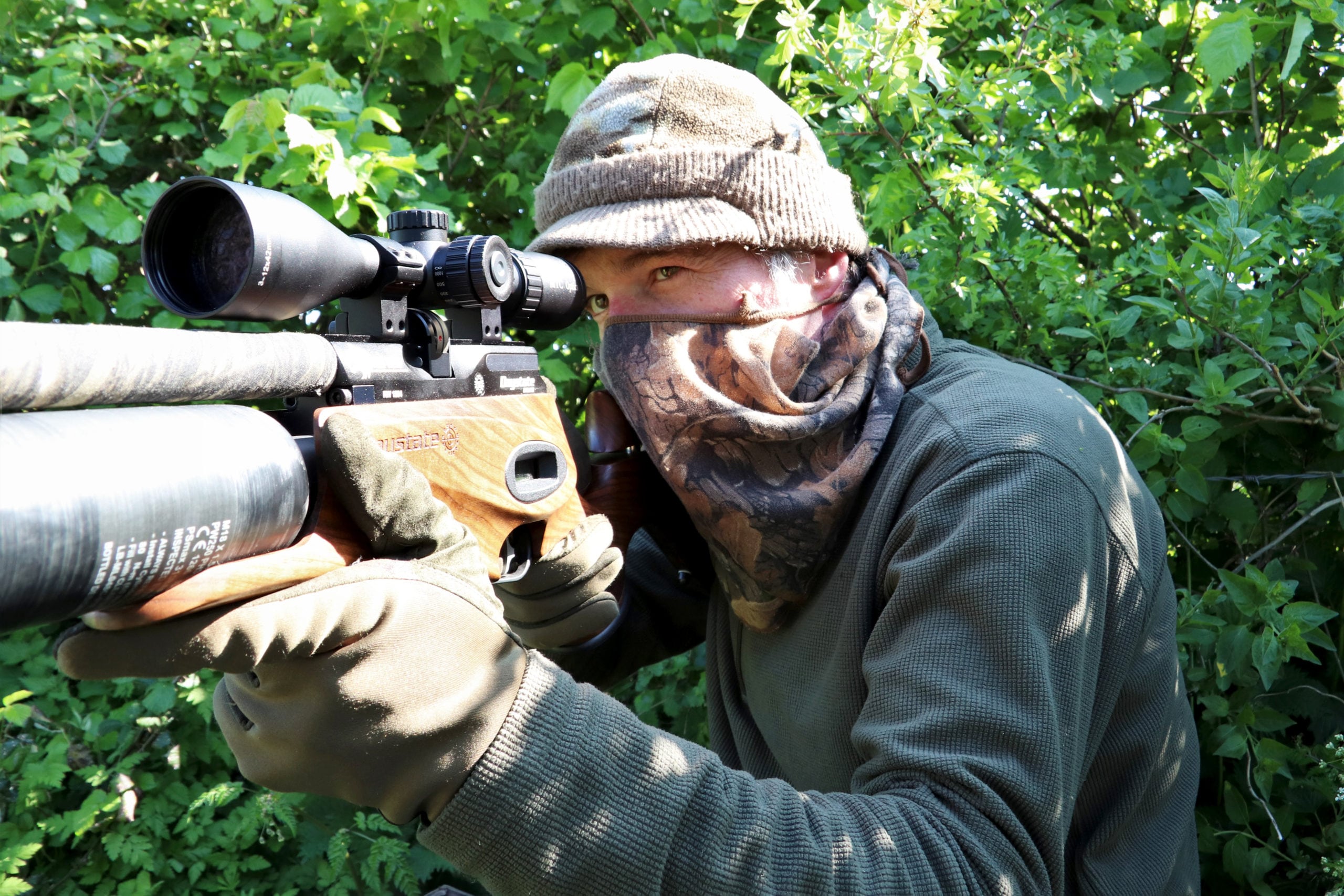 Pros and cons of high-powered airguns - Gun Trade News