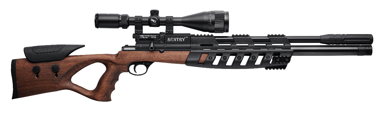 Looking back at the best air rifles of 2020 - Gun Trade News
